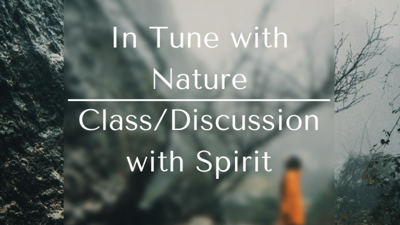 In Tune With Nature: Trance Channeled Class/Discussion with Maitland ...