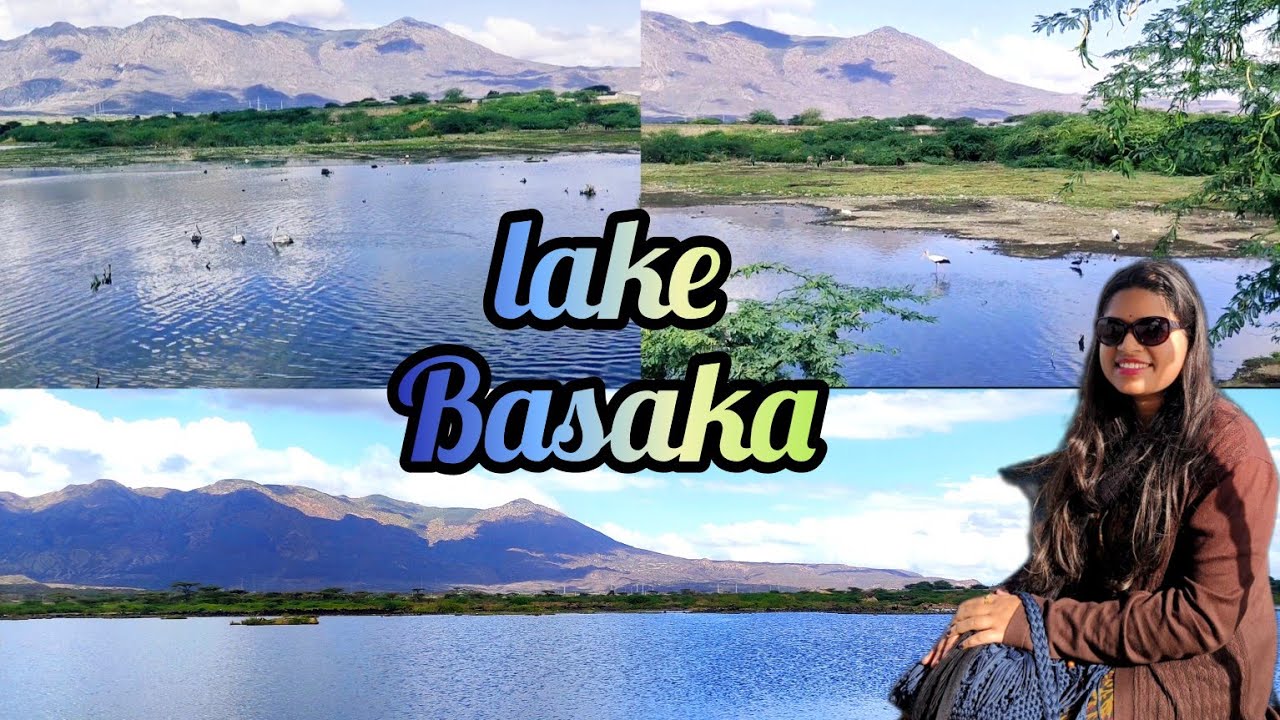 Lake Basaka, Metehara, Ethiopia, Africa - YouTube