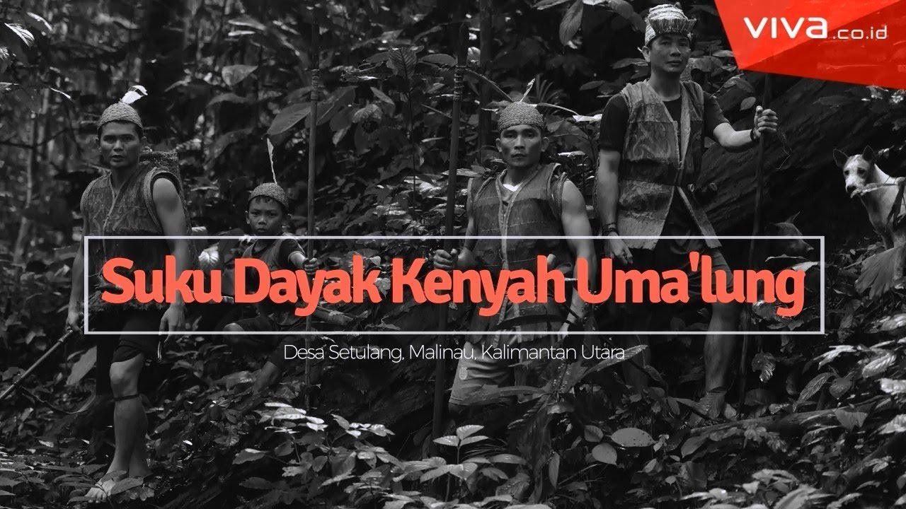 Hutan Adat Suku Dayak Kenyah Yang Terancam Perkebunan Kelapa Sawit - ViDoe