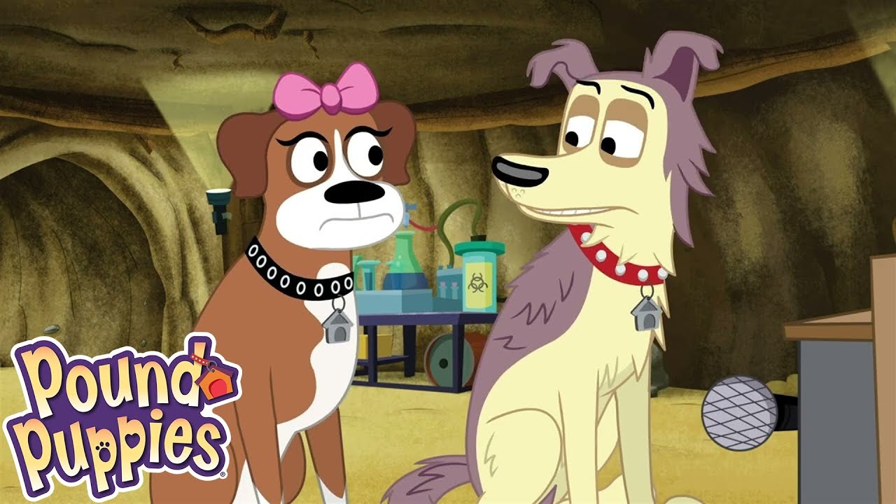 Pound Puppies | The Call of The Squirreldog | Season 1 | Pet Cartoon ...