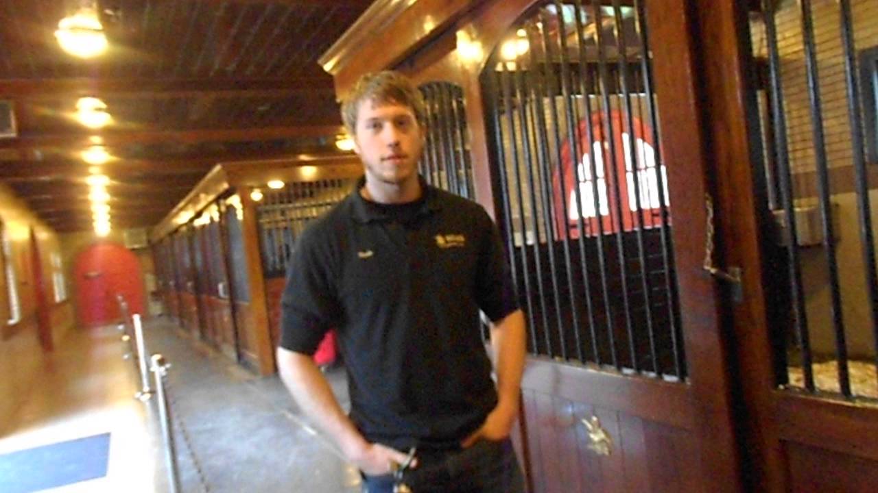 Budweiser Stables Merrimack, NH - YouTube