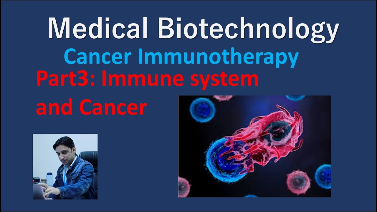 How immune system interacts with cancer cells? |Cancer Immunotherapy ...