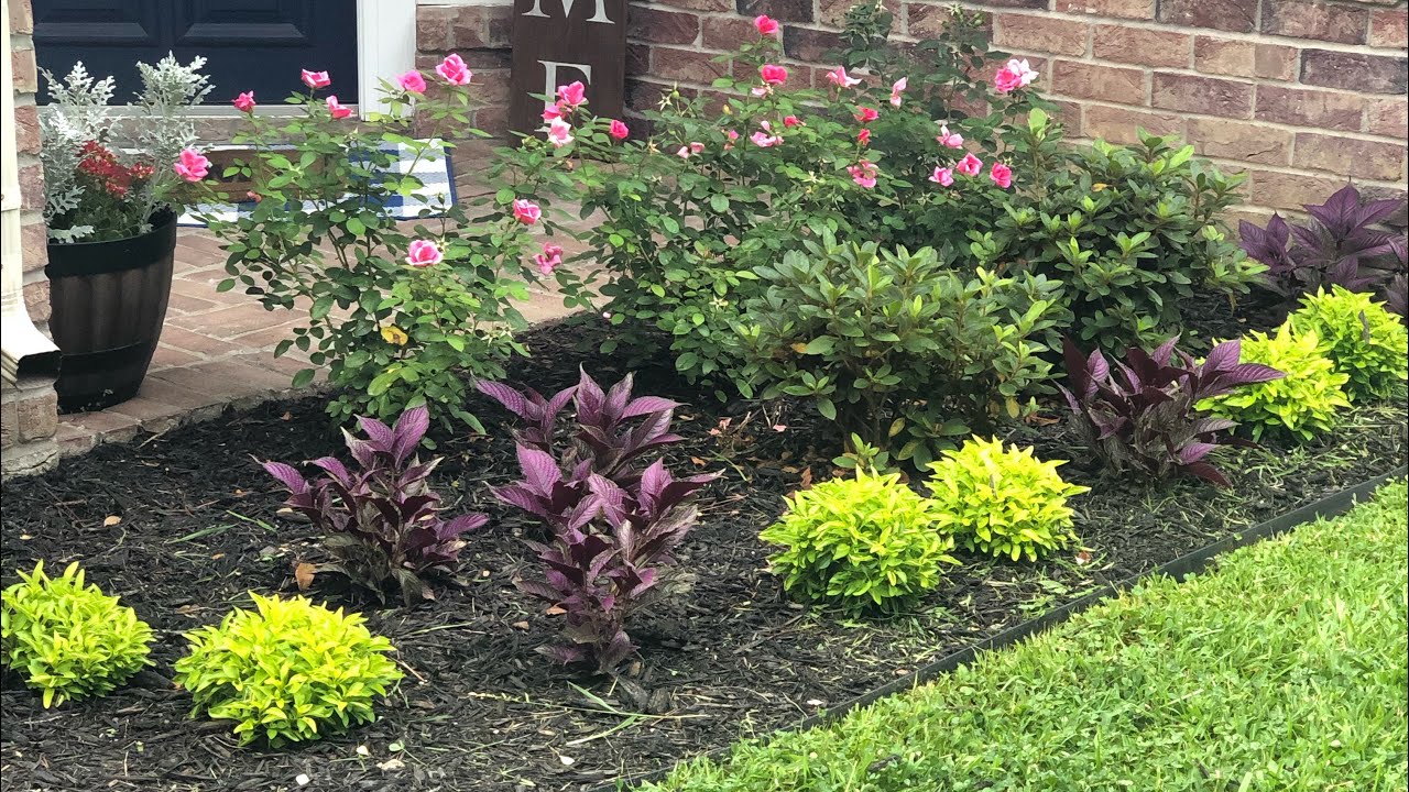 Vlog Our Front Yard Makeover Youtube