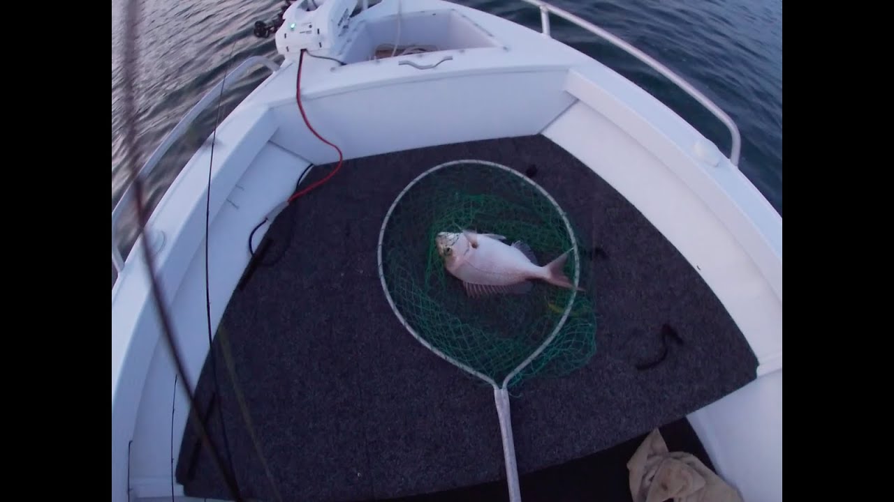 Lake Macquarie Bream and Snapper fishing - YouTube