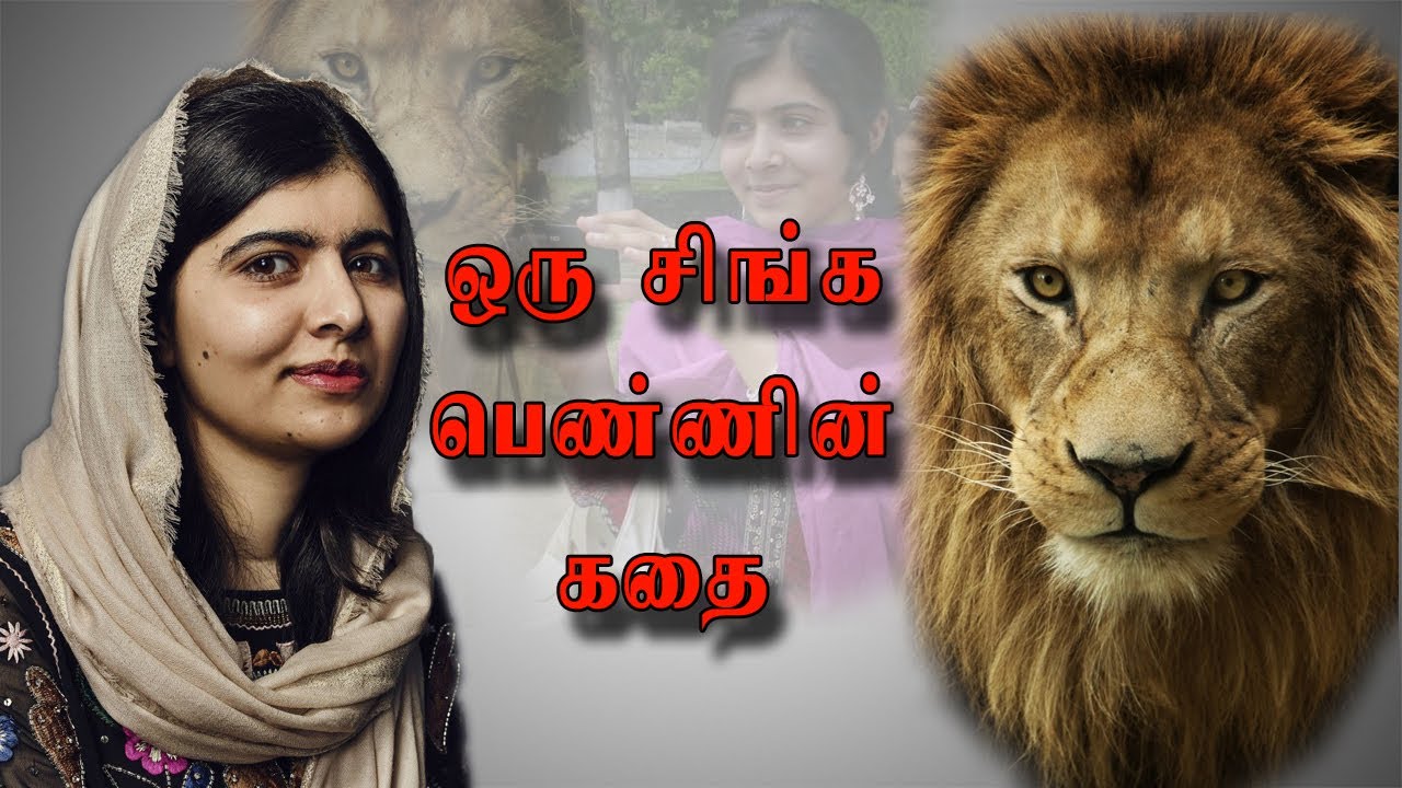 Girl Motivational Story | Youngest Nobel Prize Receive Girl | Tamil ...