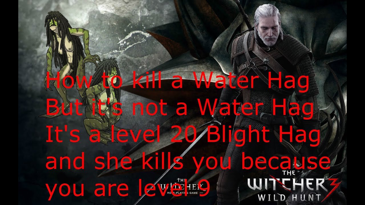 Witcher 3 - How (not) to kill a Water Hag - YouTube