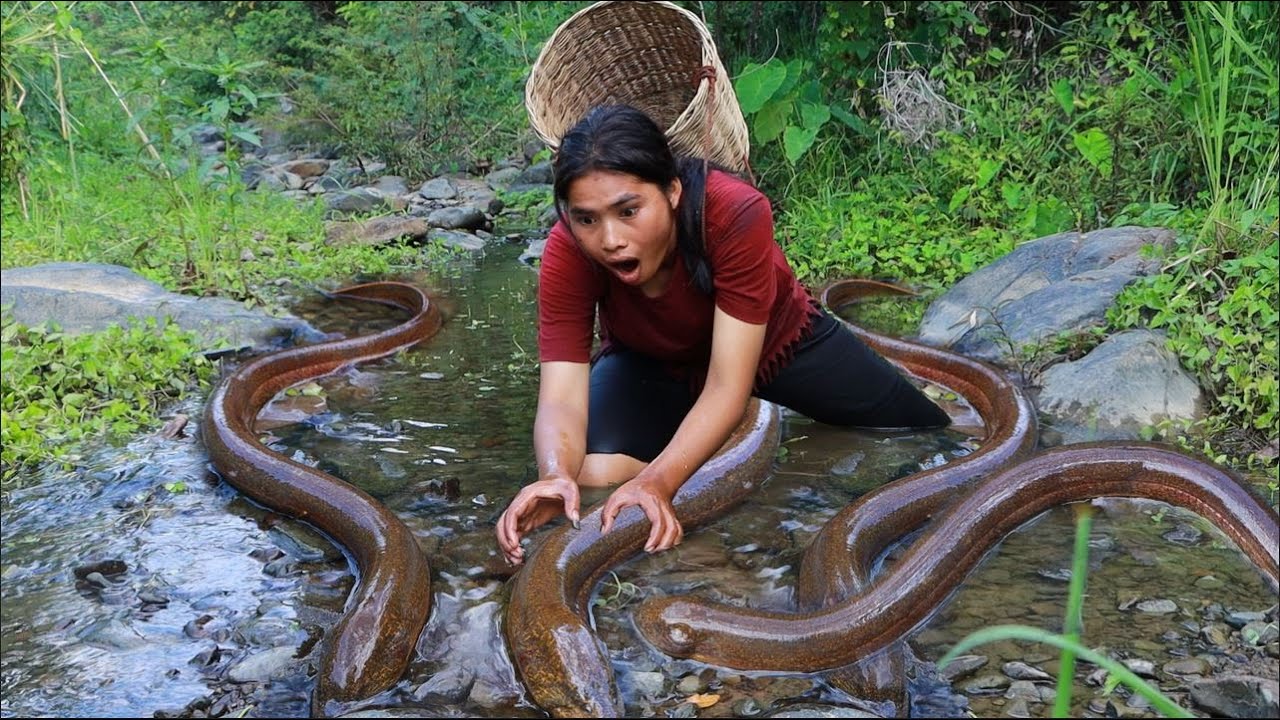 The girls meeting Eels and catching - Cooking eels with jackfruit chili ...