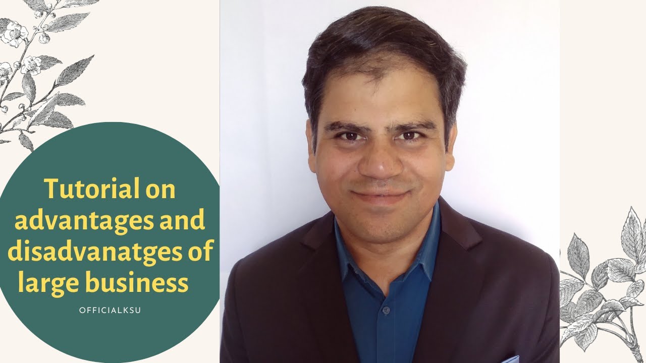 Tutorial on advantages and disadvantages of Large Businesses - YouTube