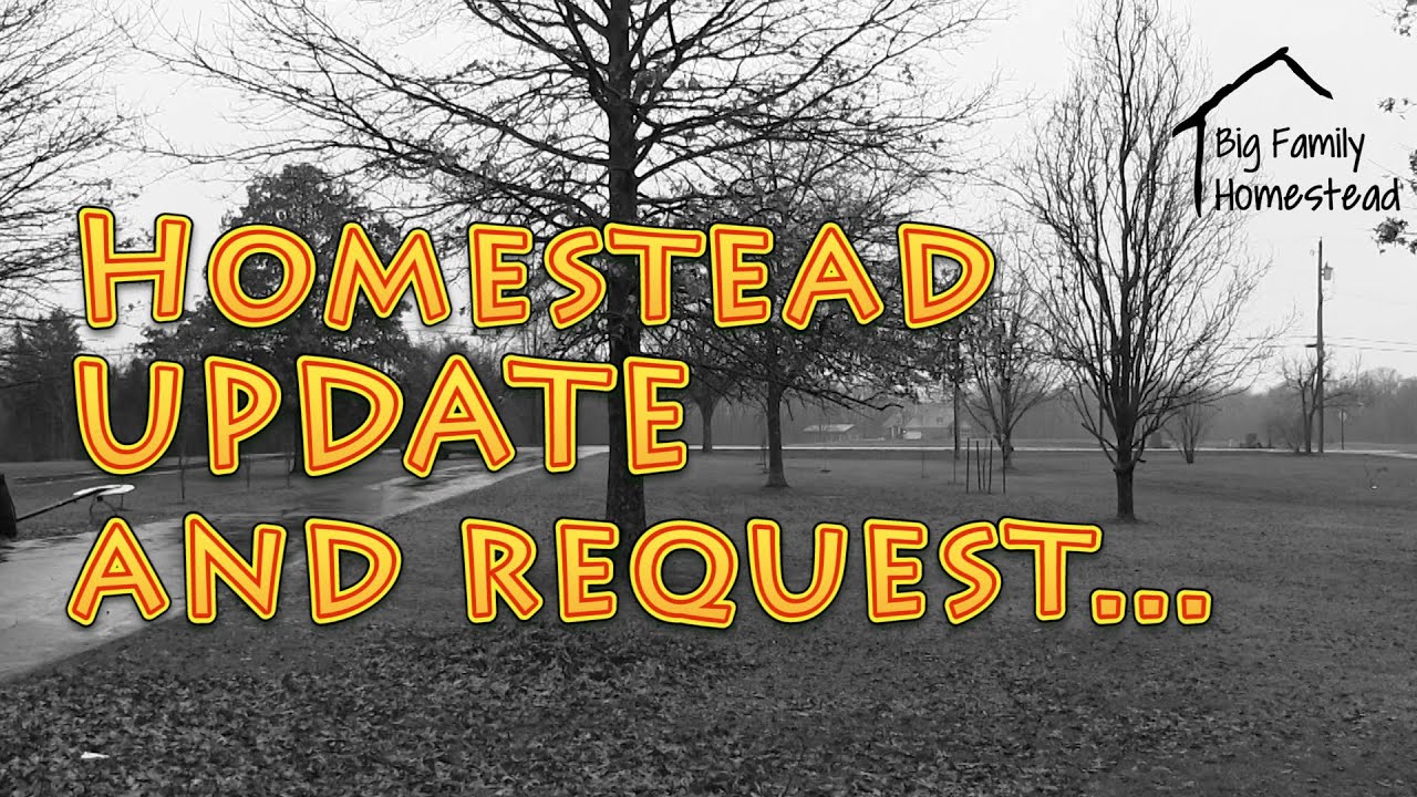 Homestead Update Dec from the Big Family Homestead - YouTube