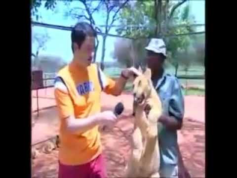 Acun ılıcalı küfürlü dublaj