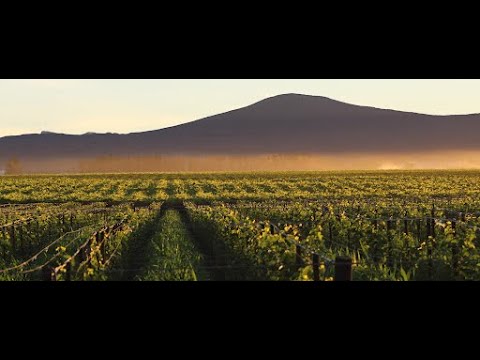 Namibia's Silverlands Vineyards - YouTube