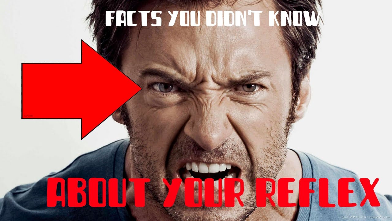 10 Interesting Facts About The Human Reflex! - YouTube