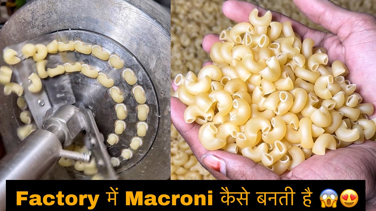 क्या macroni चर्बी से बनाई जाती है 😱 Factory Making of Macroni 😳 || THE ...