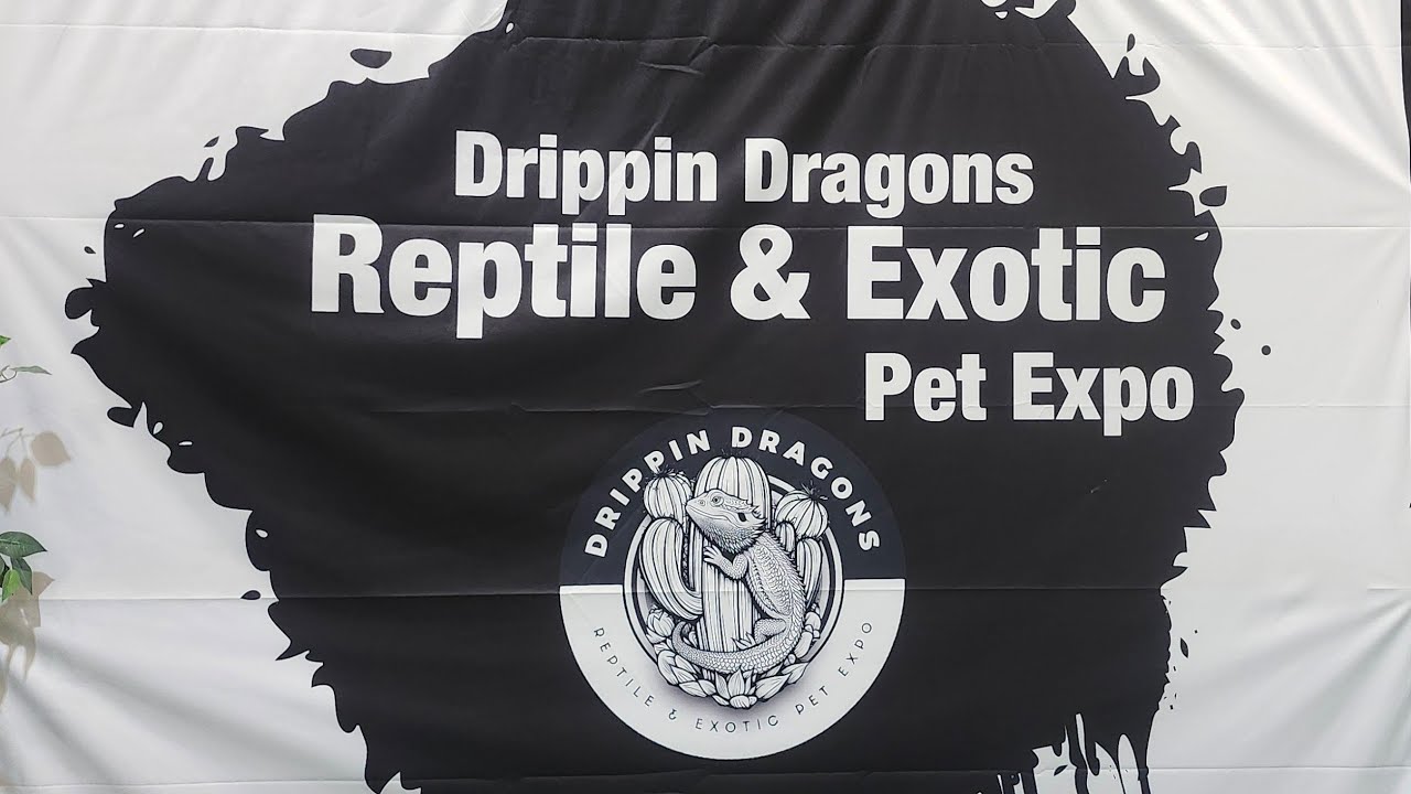 Dripping Dragons Reptile & Exotic Pet Expo! (June 2024) - YouTube