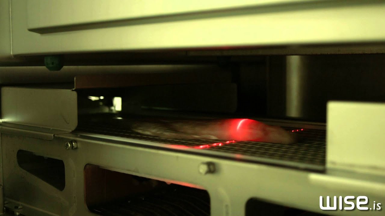 Wise Lausnir - YouTube