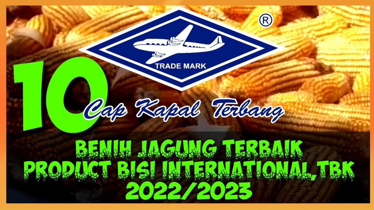 BENIH JAGUNG TERBAIK 2022 BISI INTERNATIONAL,Tbk||BEST CORN SEED 2022 ...