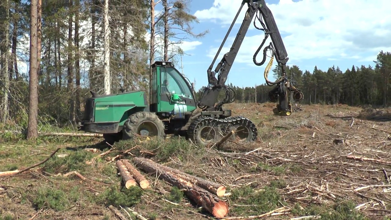 Timberjack harvester in a forest on Gotland in June 2017 - YouTube