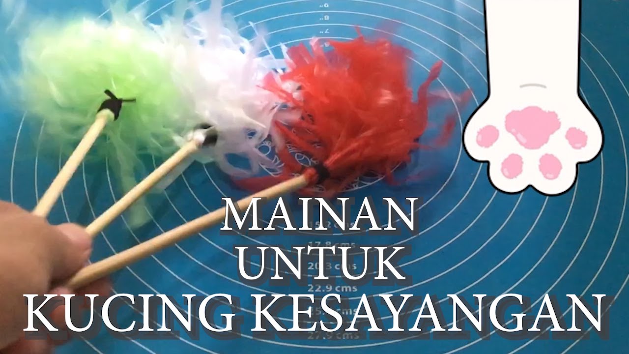 CARA MEMBUAT MAINAN KUCING GAMPANG BANGET || CAT GAMES - YouTube