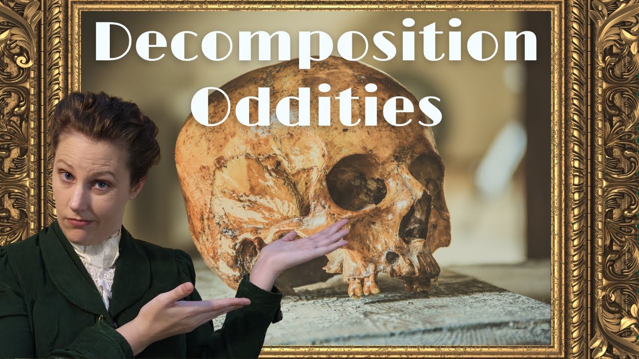 Decomposition Oddities: Proving Nature Has a Sick Sense of Humour - YouTube