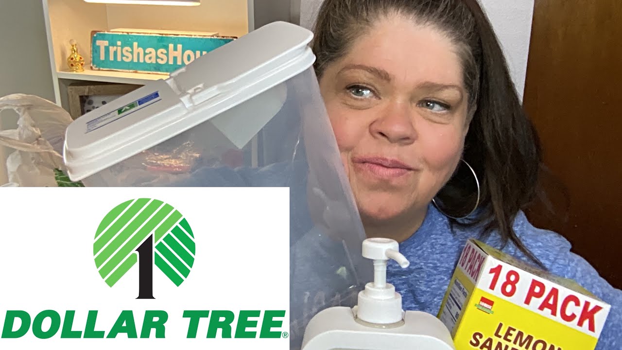 Dollar Tree haul! #dollartree - YouTube