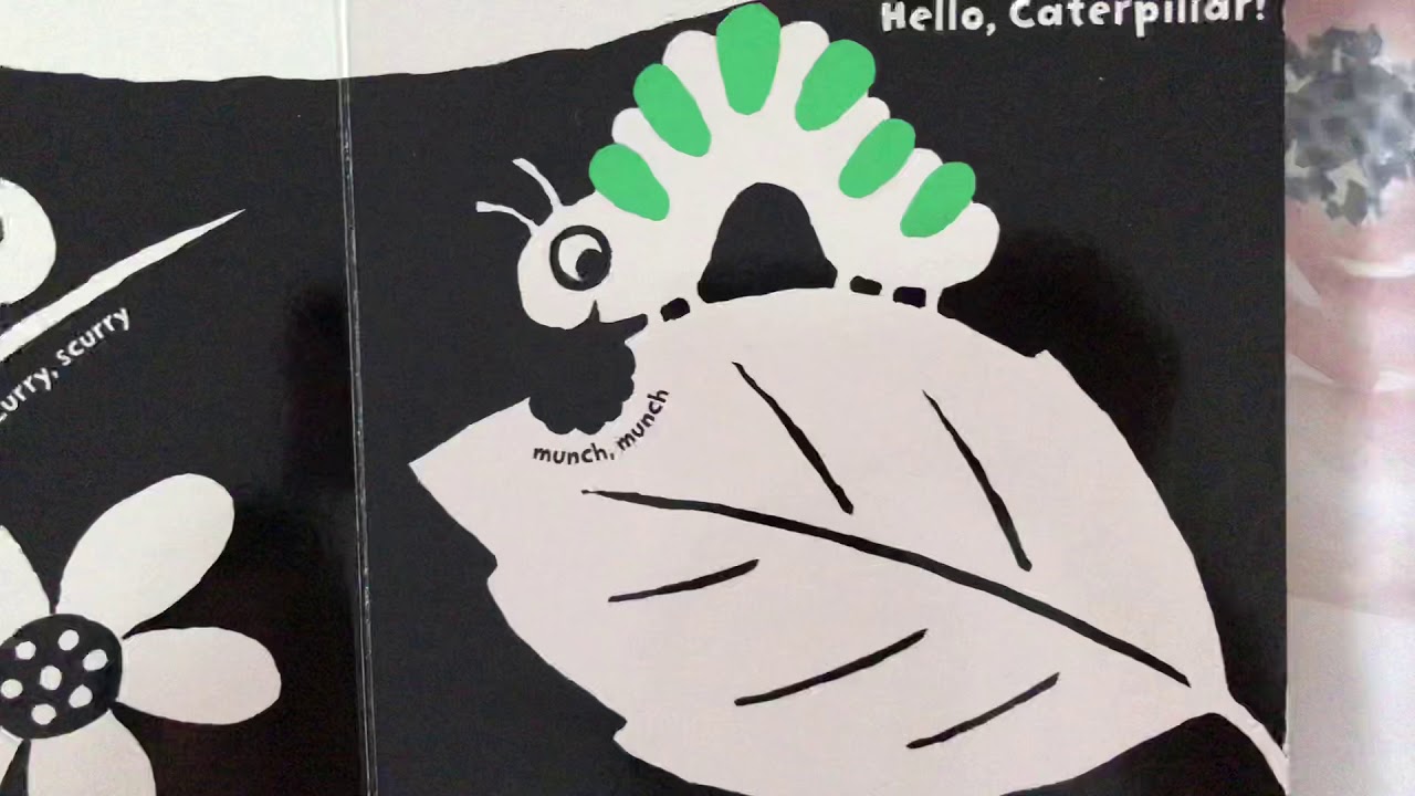 Read Along | Hello, Bugs! - YouTube