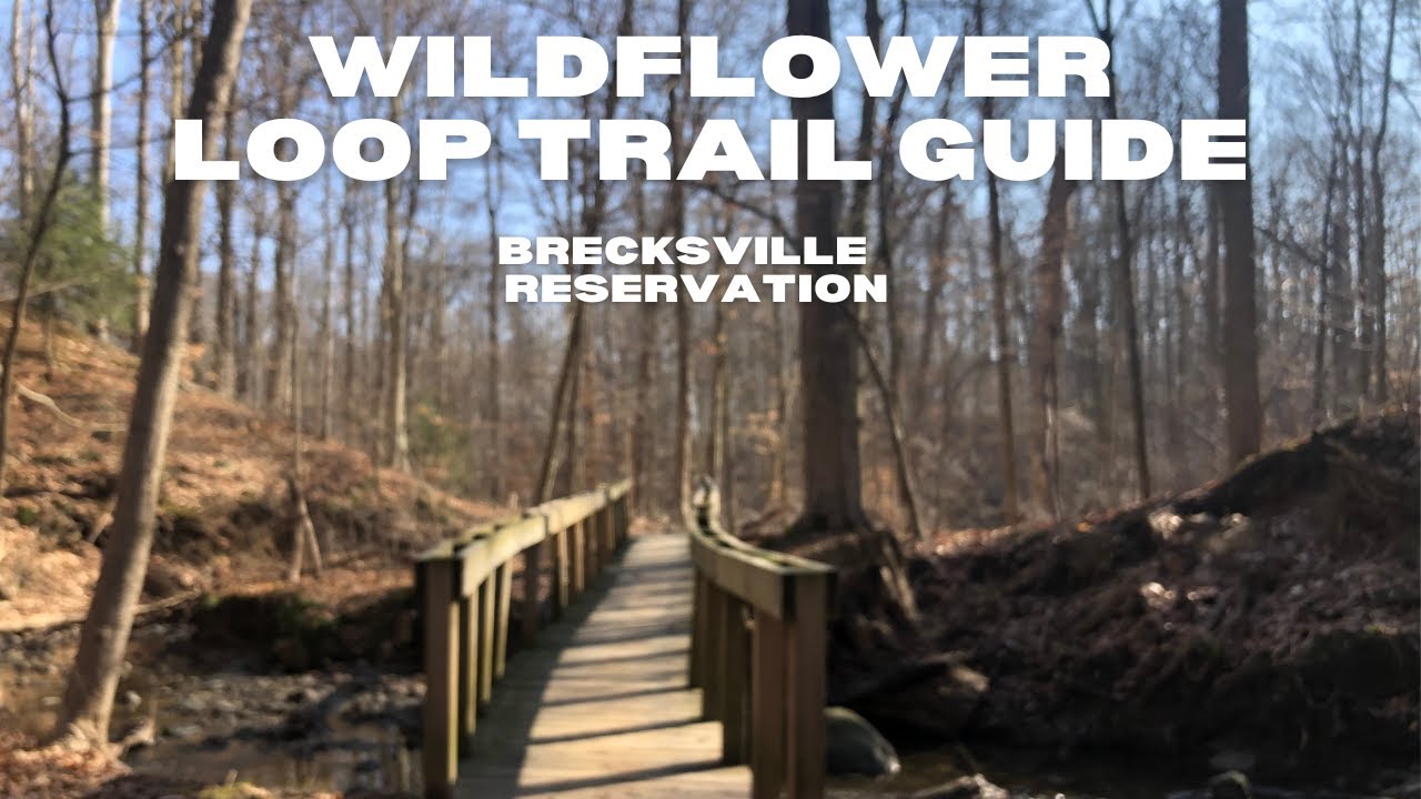 Wildflower Loop Trail Guide (Brecksville Reservation) - YouTube