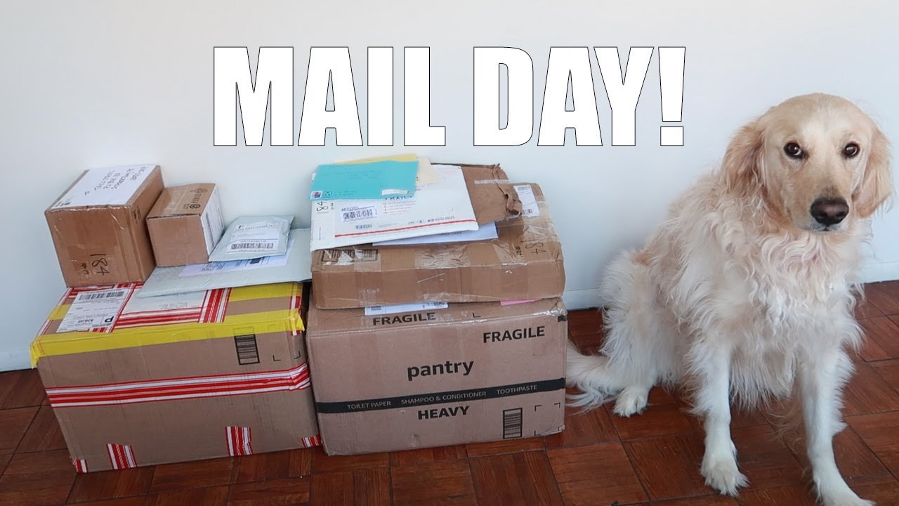 My Dog Got Mail and So Did I! Mail Day Unboxing! - YouTube