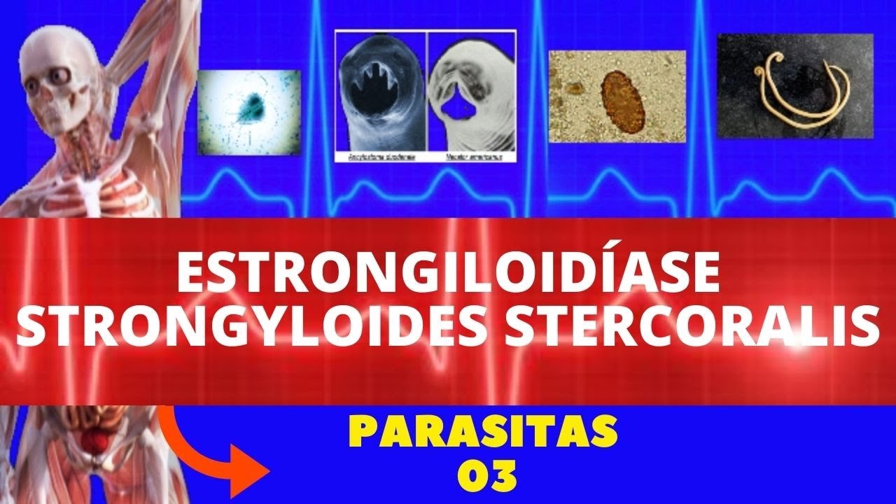 ESTRONGILOIDÍASE - STRONGYLOIDES STERCORALIS (VERMINOSE ...