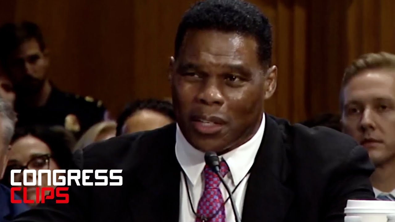 Key Moments from Hershel Walker’s Senate Testimony for Bahamas ...
