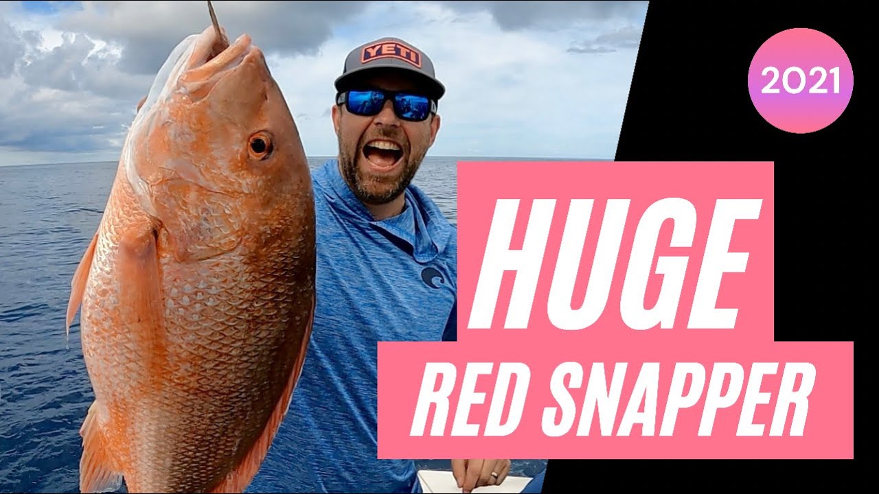 Check Out These HUGE Red Snapper || 50 Miles Off Shore || Carrabelle ...