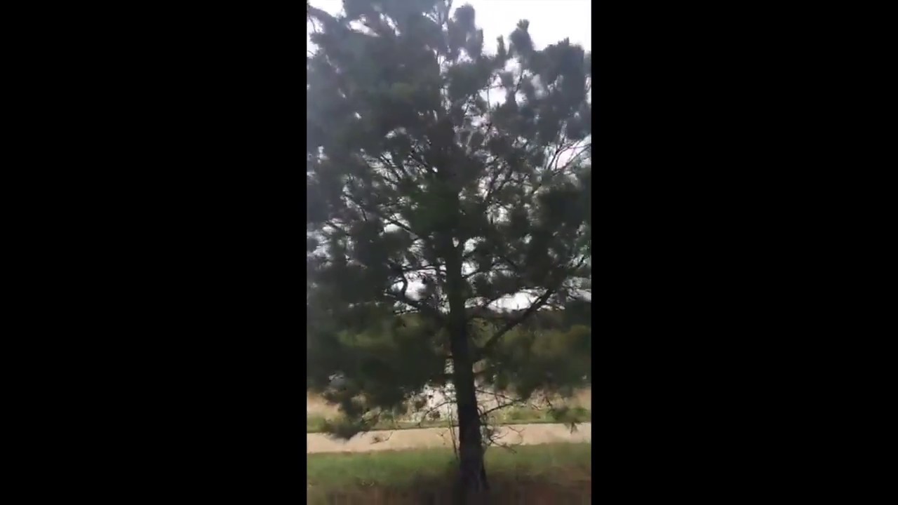 Flooding in Fulshear, TX - in our neighborhood lakes - YouTube
