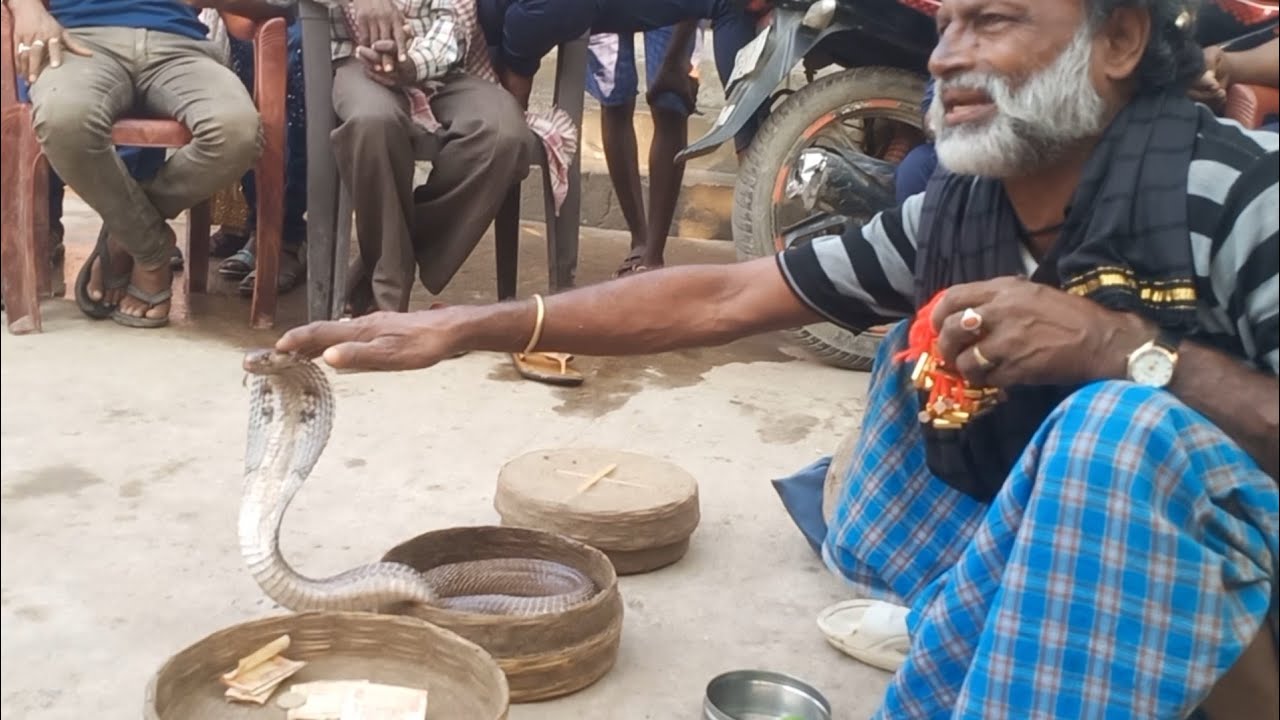 KUESHWAR DHAM SNAKE & SAPERA || STREET PERFORMER & COBRA SNAKE SHOW ...