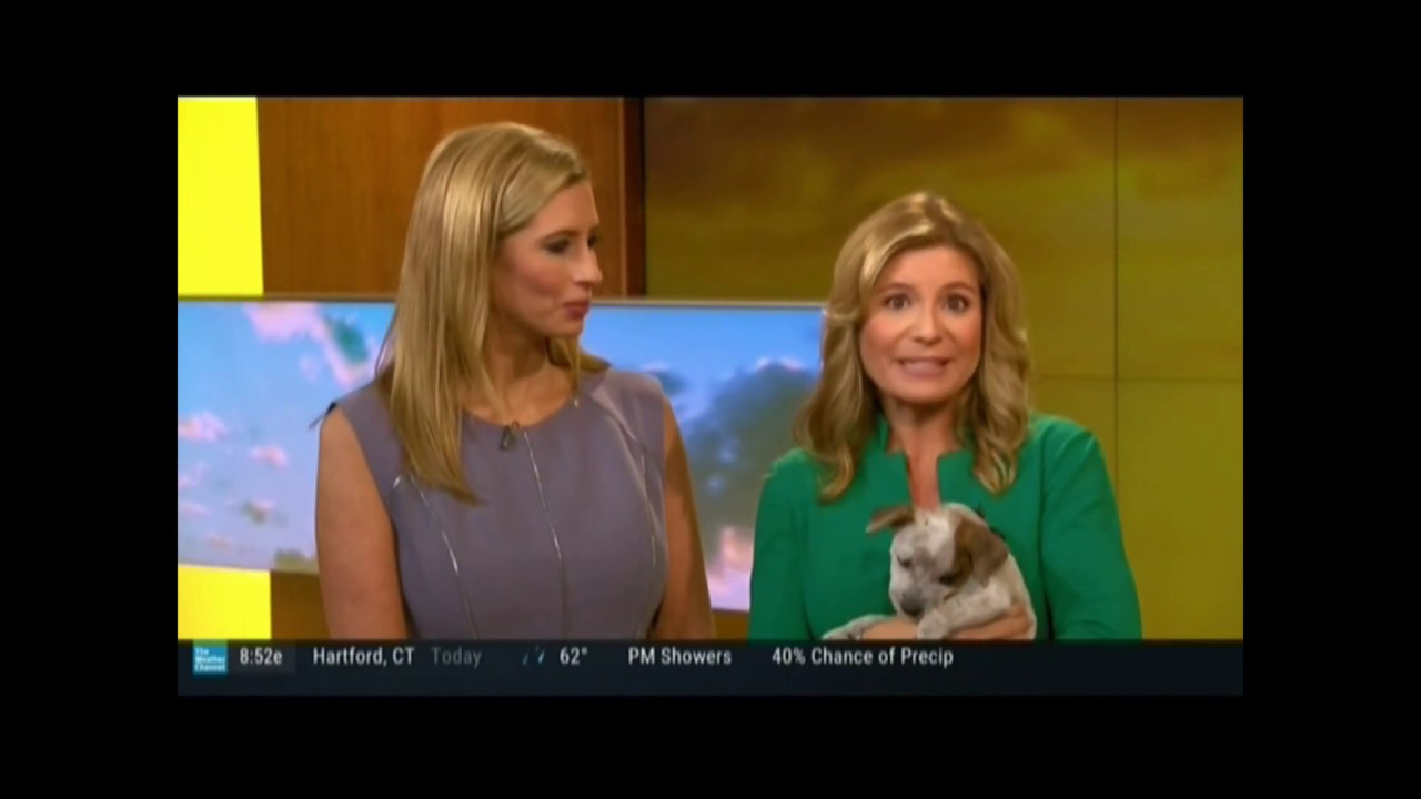 The Weather Channel Stephanie Abrams, Jen Carfagno,dog & puppy 10 22 19 ...