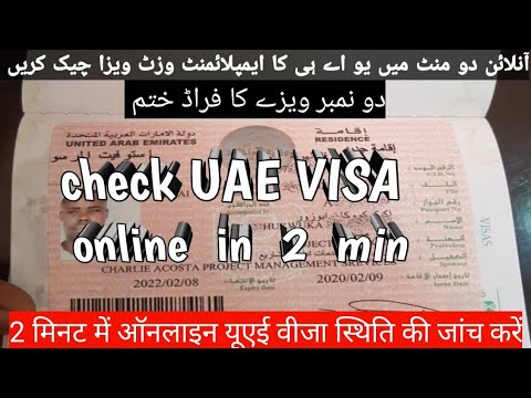 how to check your UAE employment Visit visa file status online|| UAE ...