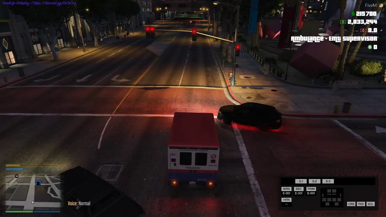 Thug Life RP FiveM - YouTube