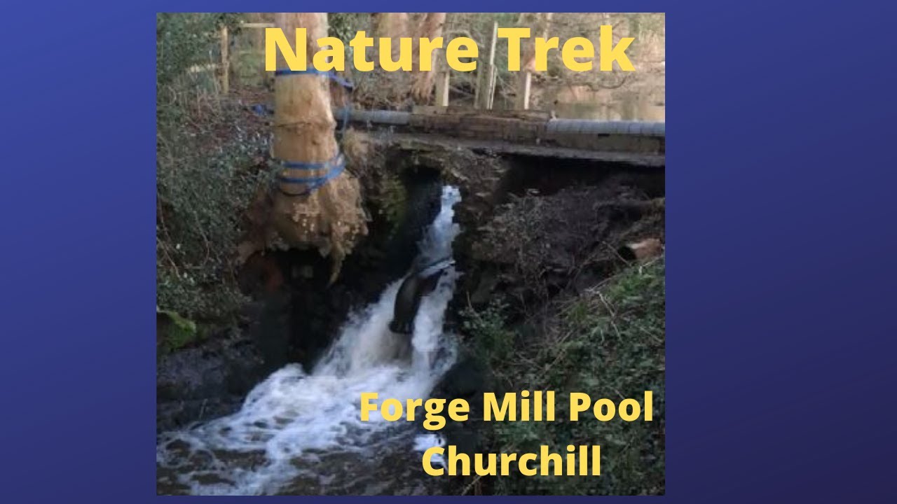 Evening Trek To The Famous Forge Pool Churchill - YouTube