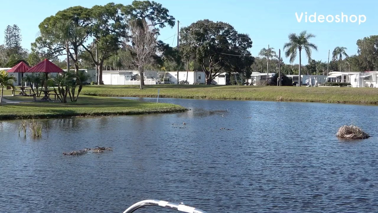 North end of Lake Seminole, Largo, Florida. - YouTube