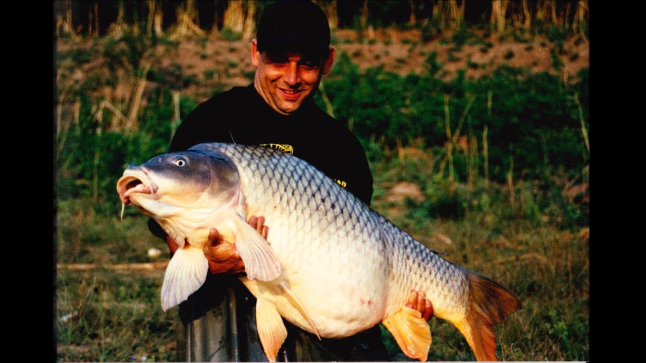 Carp Fishing Lake Sarulesti Romania - YouTube