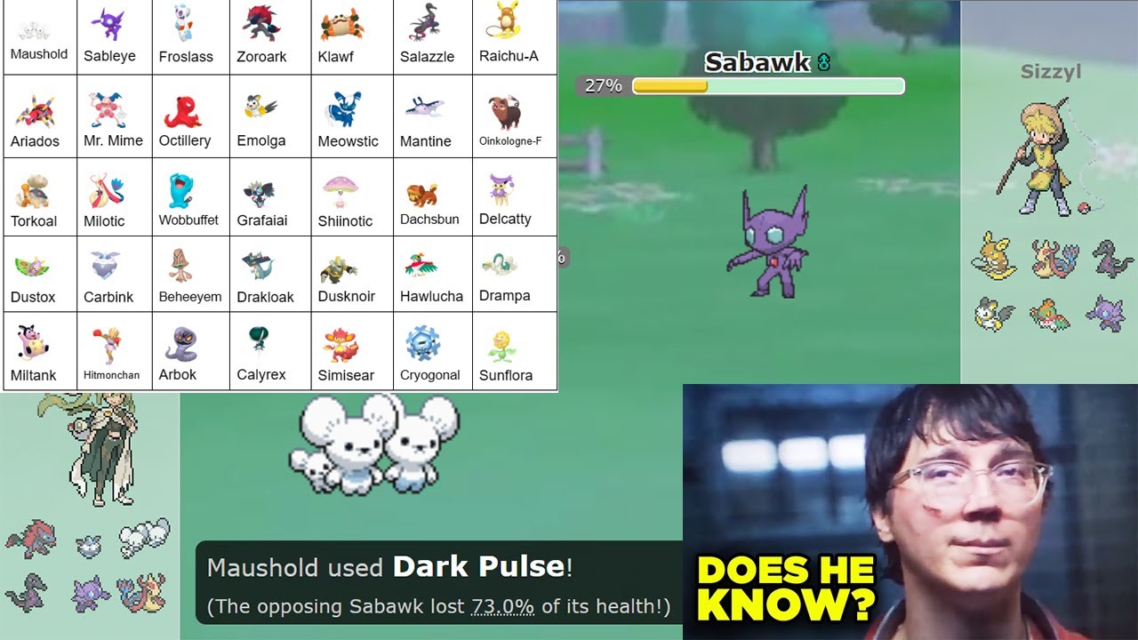 The Metagame Where Only 3% of ALL Pokemon Are Legal. - YouTube