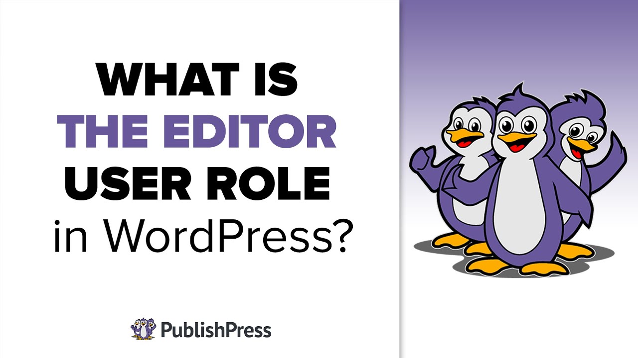 What is the Editor User Role in WordPress? - YouTube