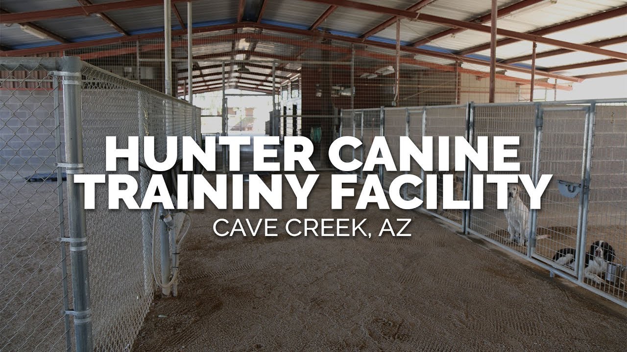 Hunter Canine Training Facility Tour - YouTube