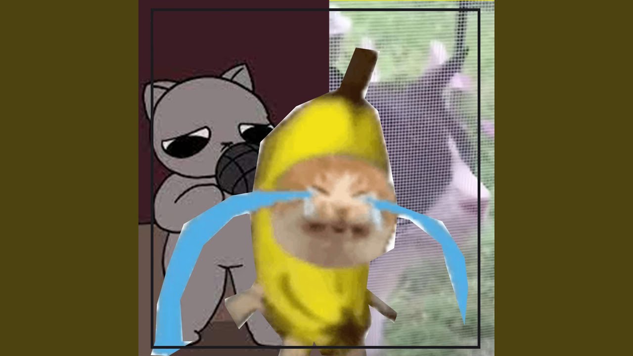 Wha Wha Wha cat song - YouTube