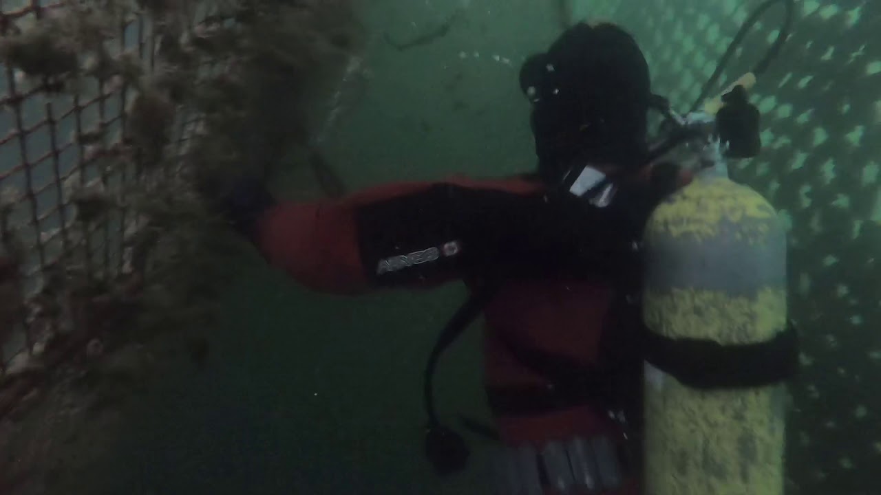 Diver untying a net - YouTube