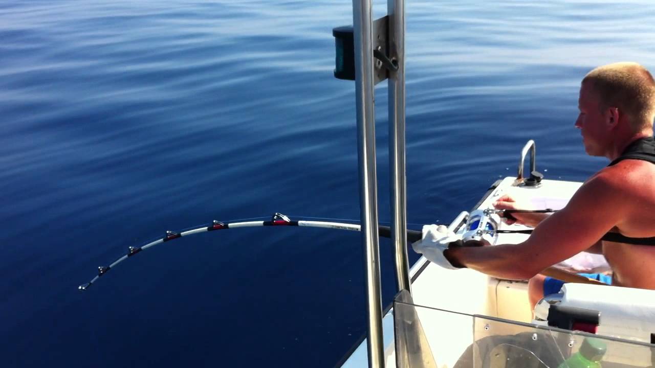 Pesca al tonno rosso Fiumicino parte 2 - YouTube