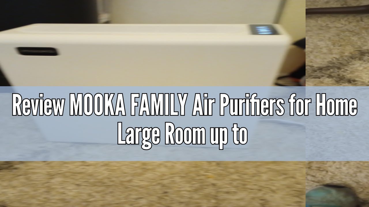 Review MOOKA FAMILY Air Purifiers for Home Large Room up to 1740ft² ...
