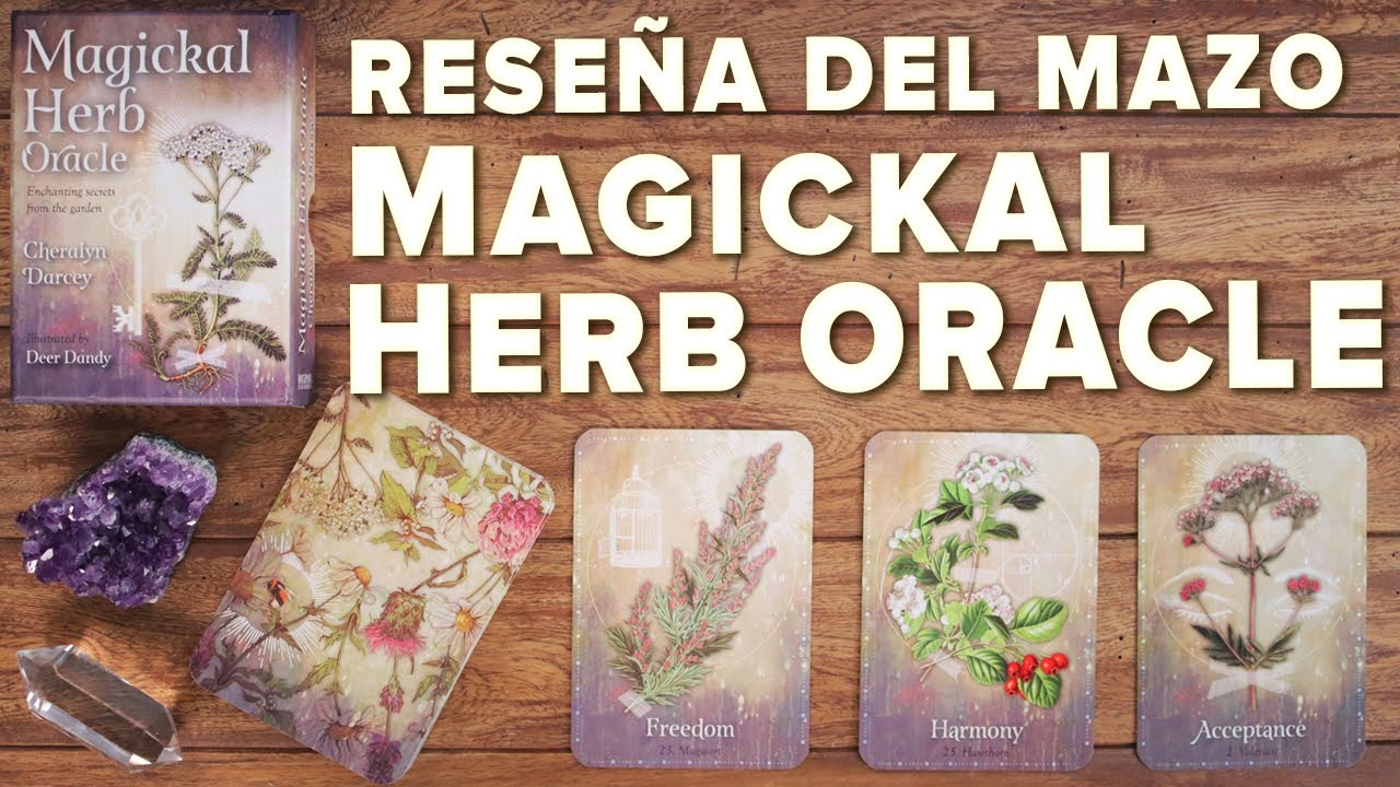 Reseña Del Oráculo Hierbas Mágicas Magickal Herb Oracle 🧙🏼♂️🌿 Youtube