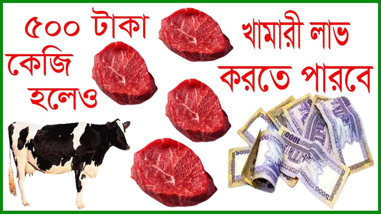 গরুর মাংস ৫০০ টাকা হলেও খামারীর লাভ হবেই । Krishi o Krishok - YouTube