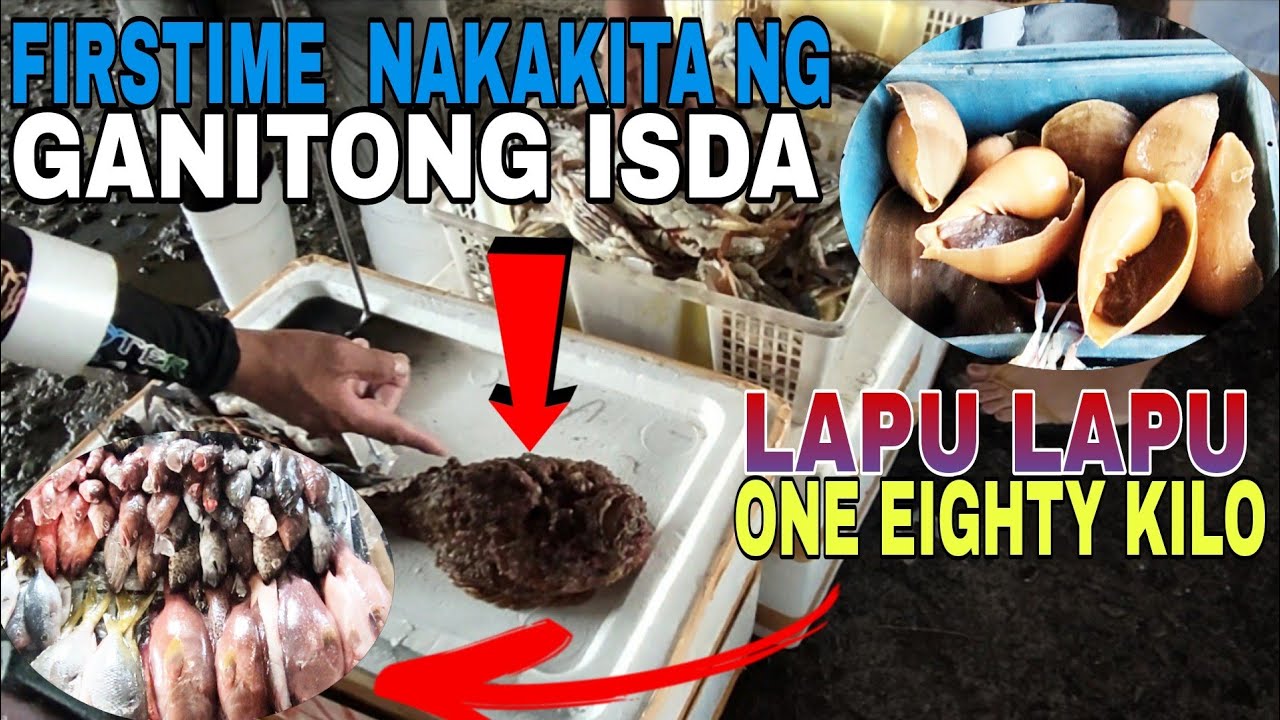 EPS. 13 PAMIMILI FIRSTIME NAKAKITA NG GANITONG ISDA|LAPU LAPU ONE ...