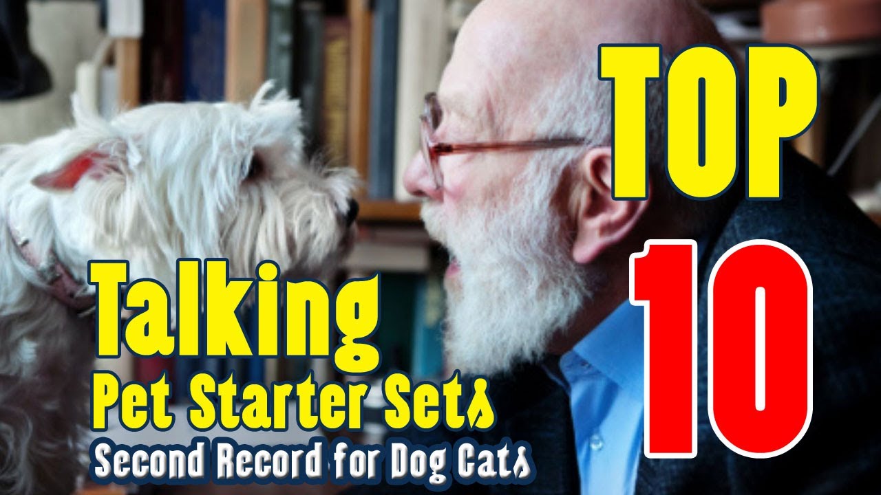 Talking Pet Starter Set | Pets Communication System For Training - YouTube