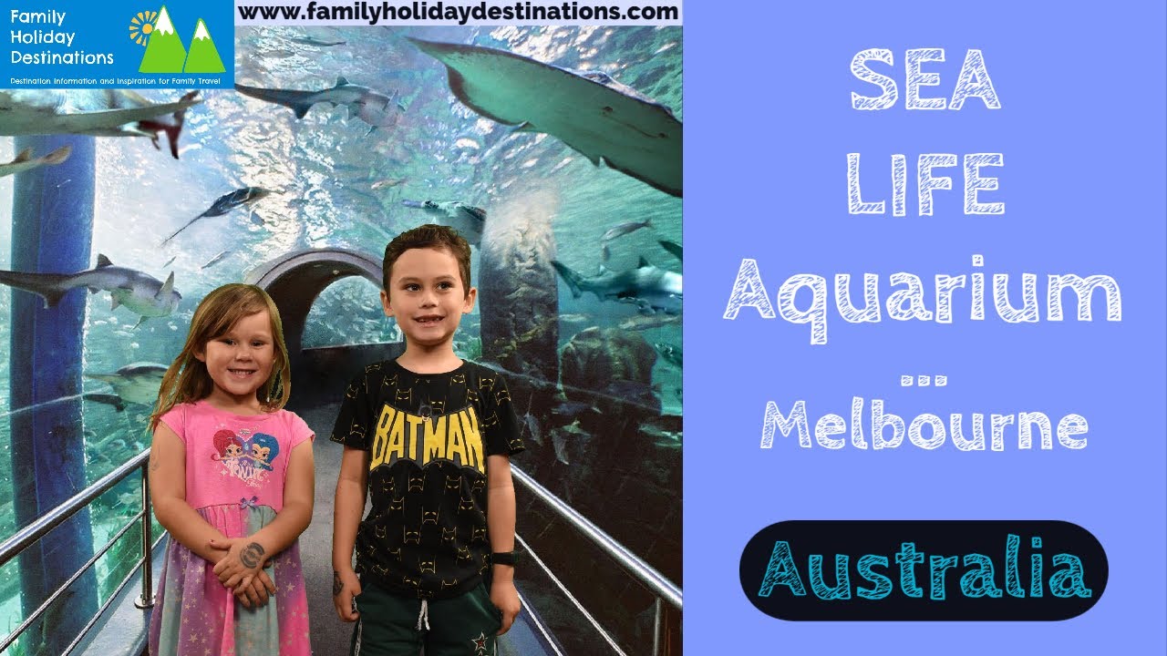 Sea Life Melbourne Aquarium - YouTube